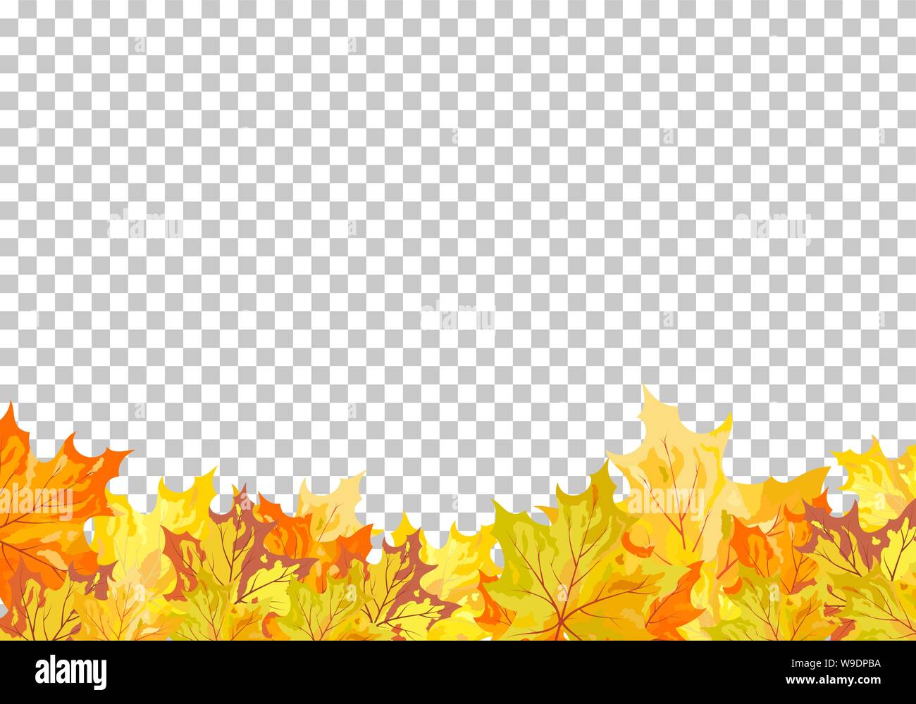 Fall (Autumn) Maple Background. Transparency Grid Design. Vector ...