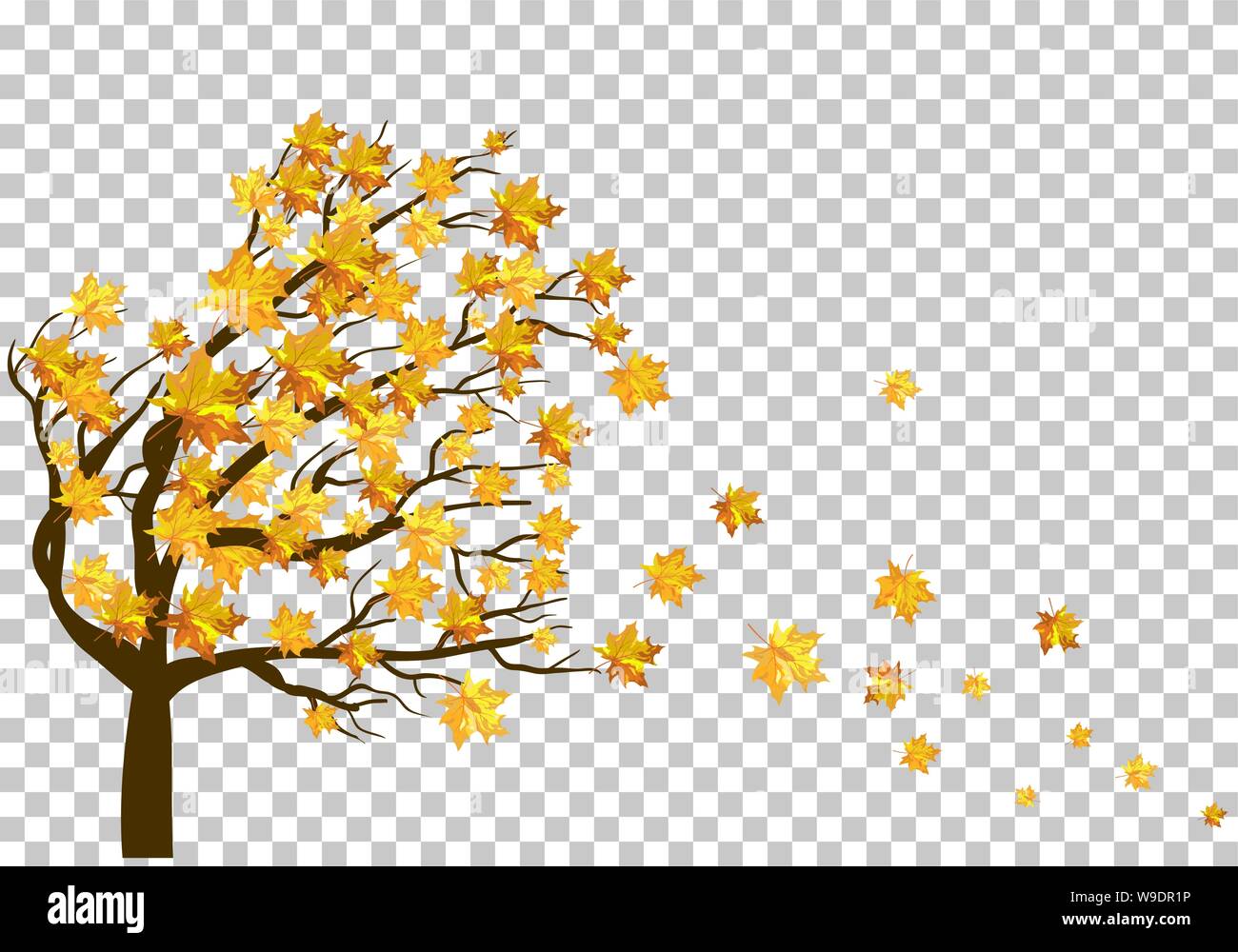 Fall (Autumn) Maple Background. Transparency Grid Design. Vector ...
