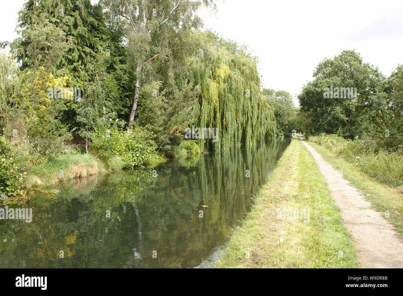 Broxbourne Nature Reserve High Resolution Stock Photography and Images ...