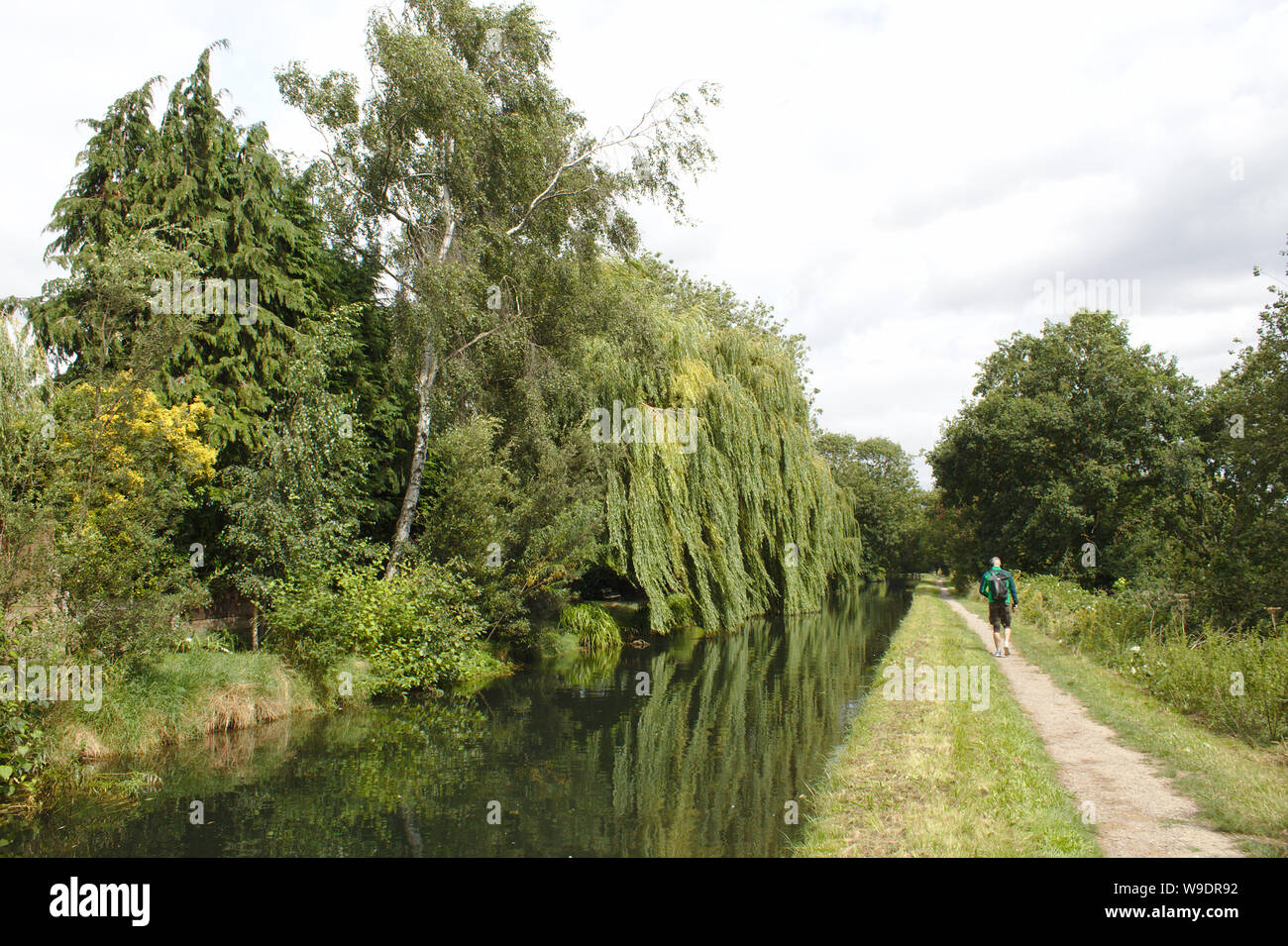 Broxbourne Nature Reserve High Resolution Stock Photography and Images ...