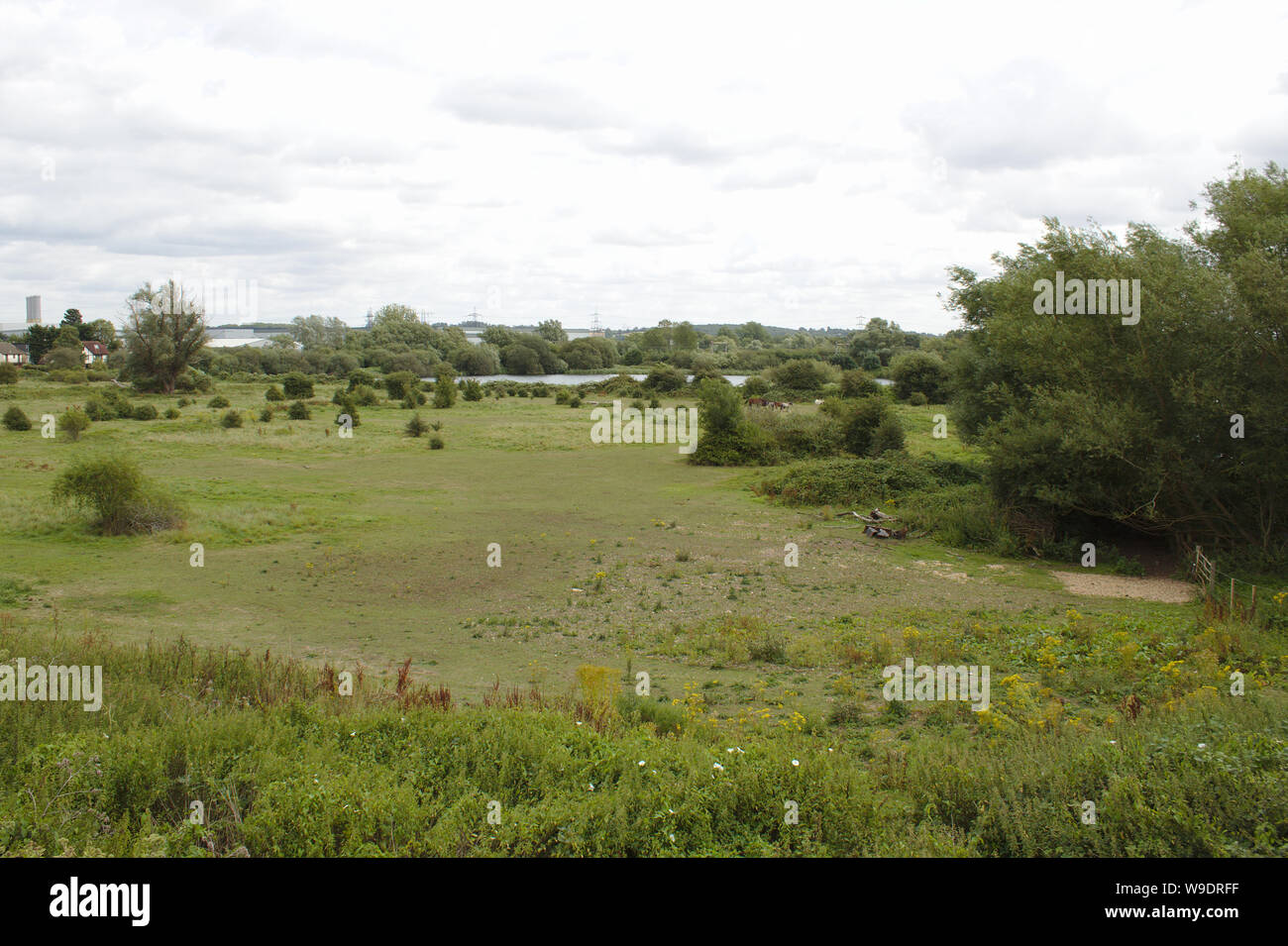 Broxbourne Nature Reserve High Resolution Stock Photography and Images ...