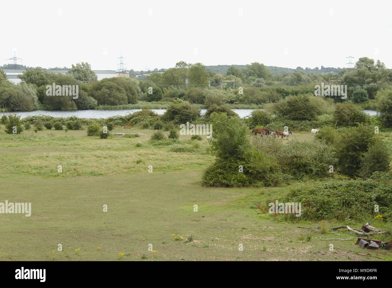 Broxbourne Nature Reserve High Resolution Stock Photography and Images ...