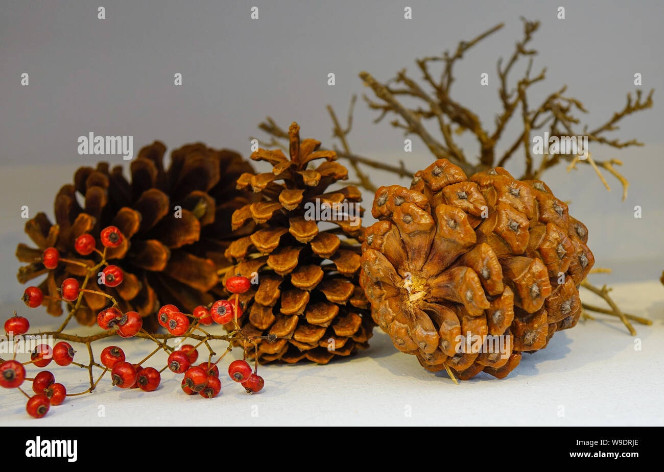 Pine cones for decoration at modern house. Interior concept Stock Photo ...