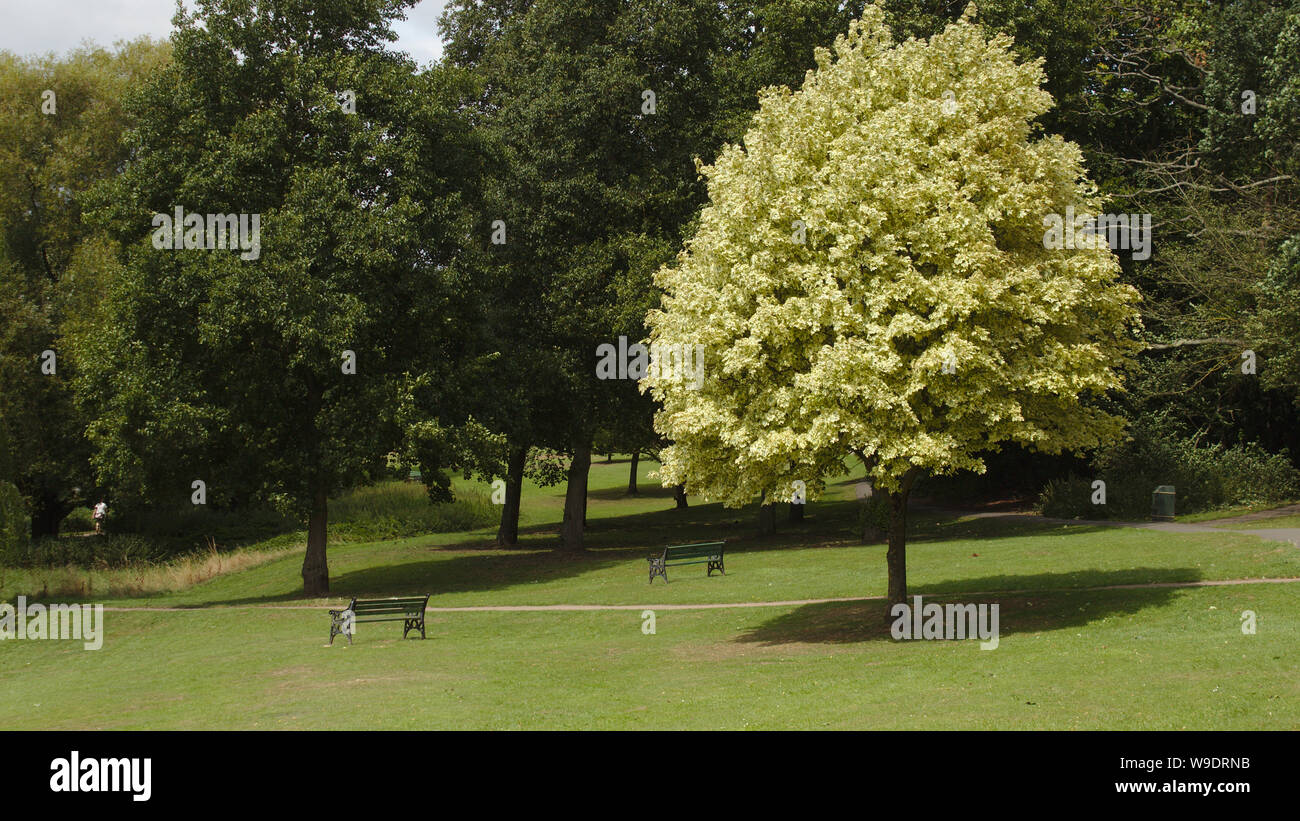Broxbourne Nature Reserve High Resolution Stock Photography and Images ...