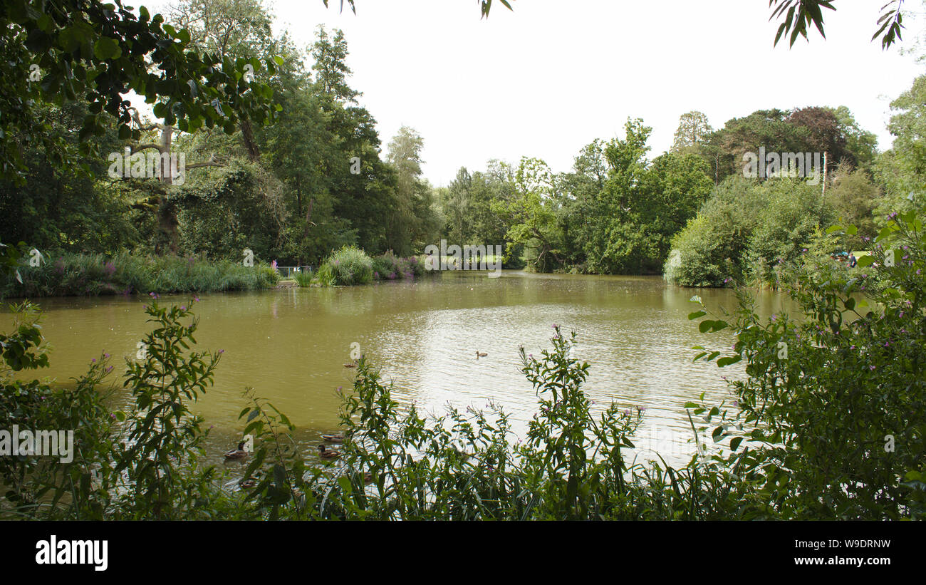 Broxbourne Nature Reserve High Resolution Stock Photography and Images ...