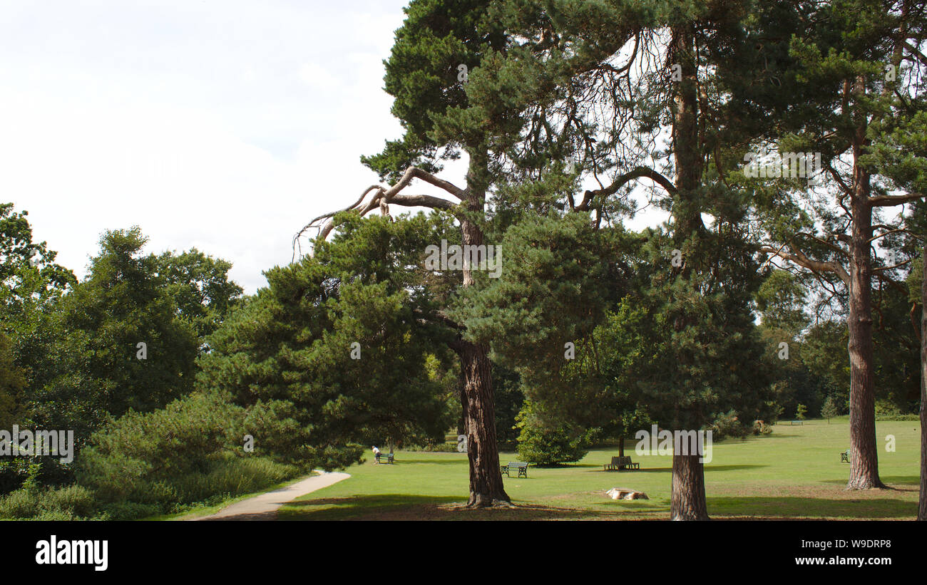 Broxbourne Nature Reserve High Resolution Stock Photography and Images ...