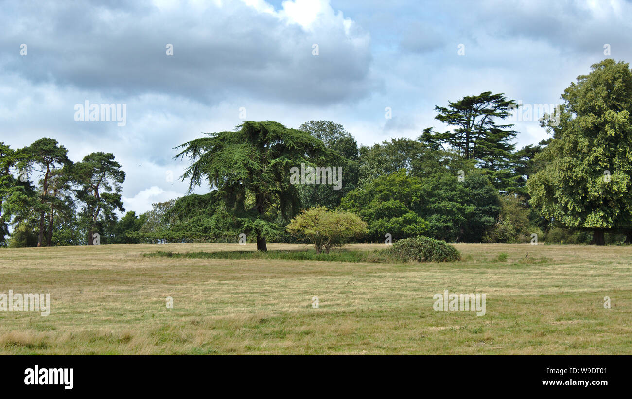 Broxbourne Nature Reserve High Resolution Stock Photography and Images ...