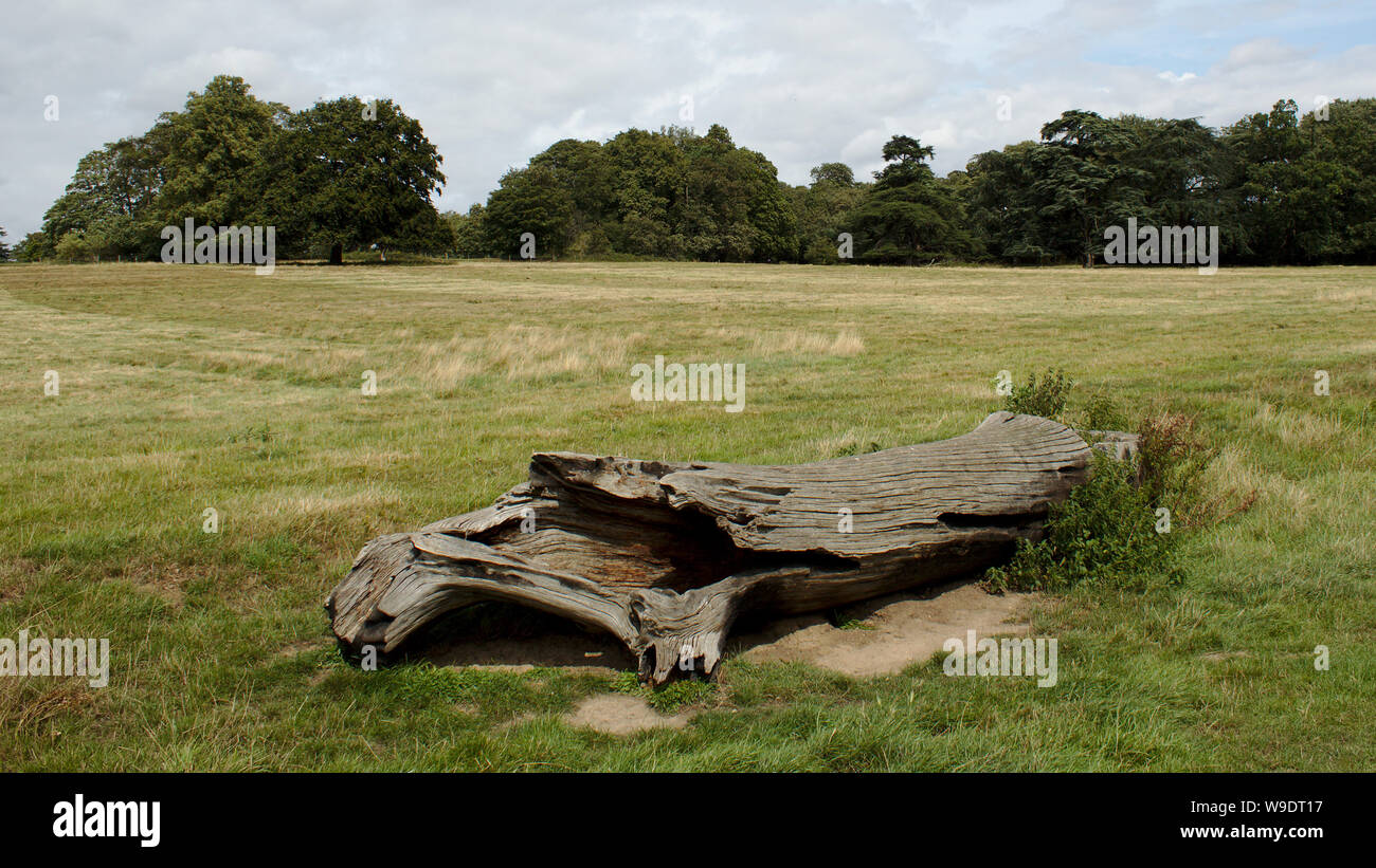 Broxbourne nature reserve hi-res stock photography and images - Alamy