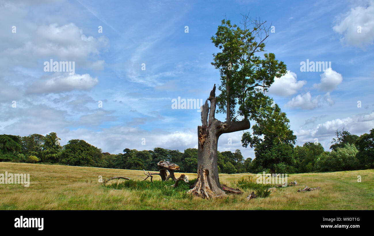 Broxbourne Nature Reserve High Resolution Stock Photography and Images ...