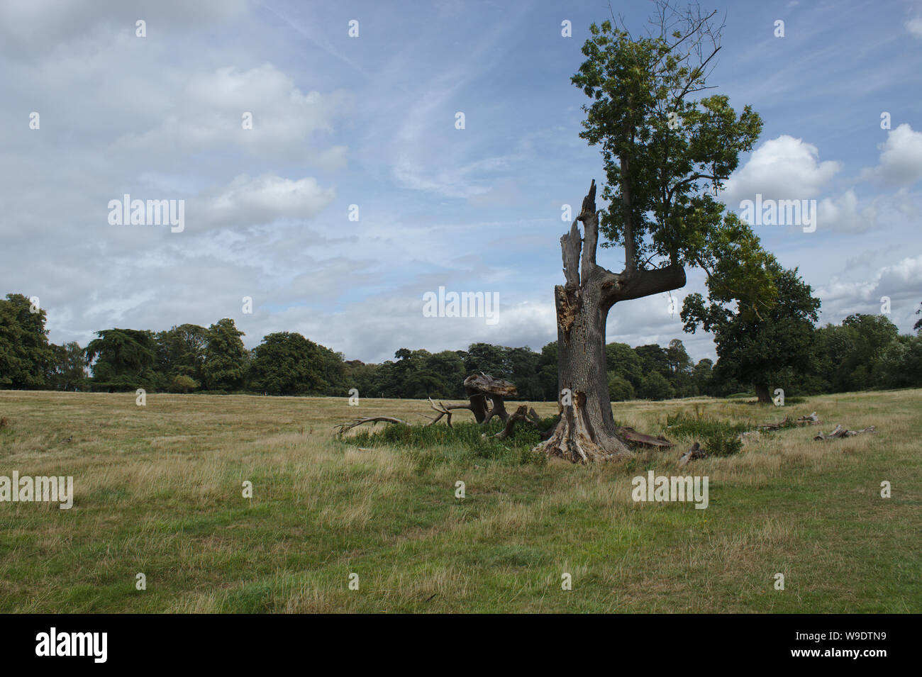 Broxbourne Nature Reserve High Resolution Stock Photography and Images ...
