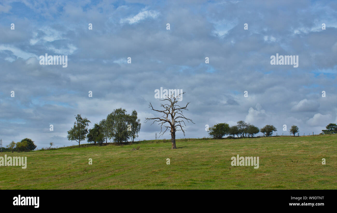 Broxbourne nature reserve hi-res stock photography and images - Alamy