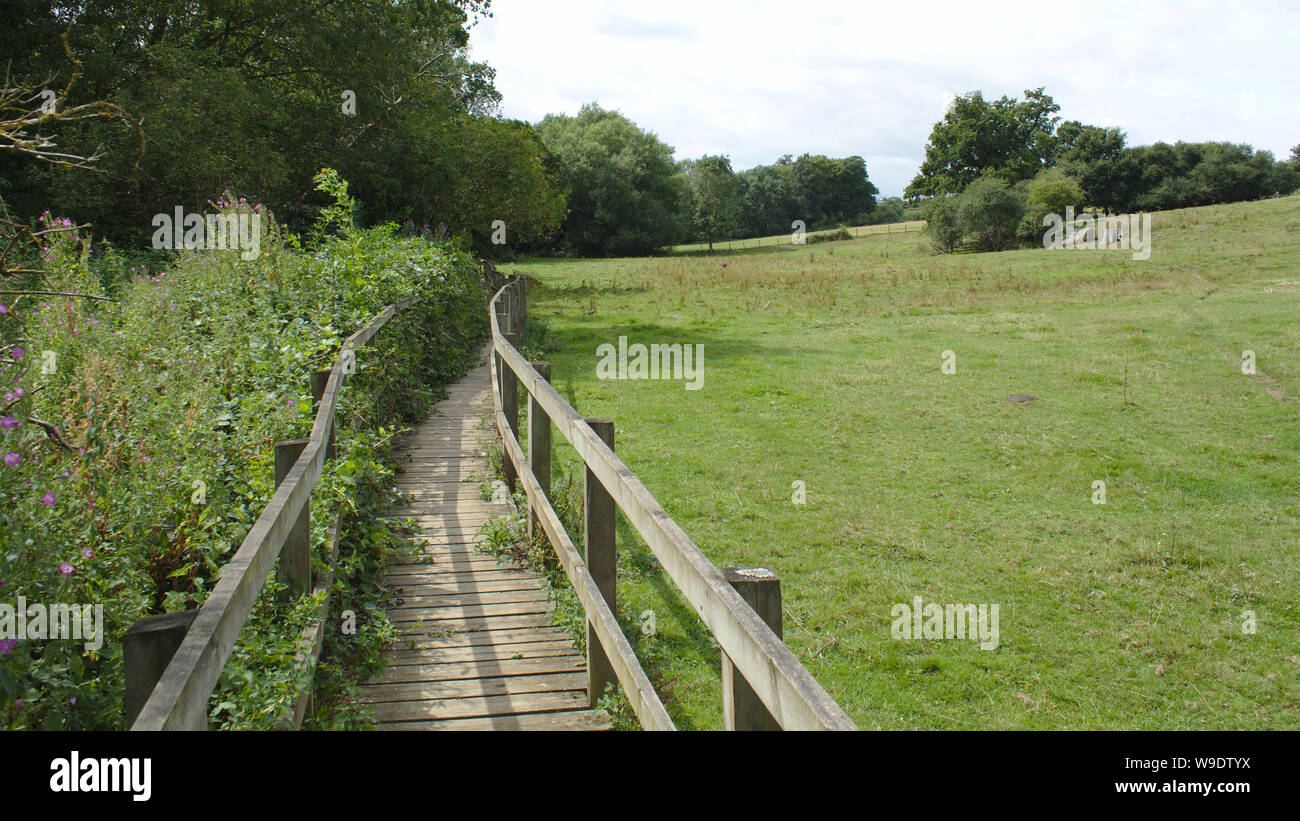 Broxbourne Nature Reserve High Resolution Stock Photography and Images ...