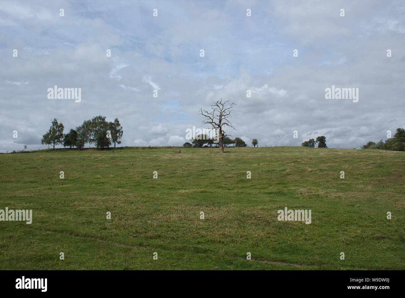 Broxbourne Nature Reserve High Resolution Stock Photography and Images ...