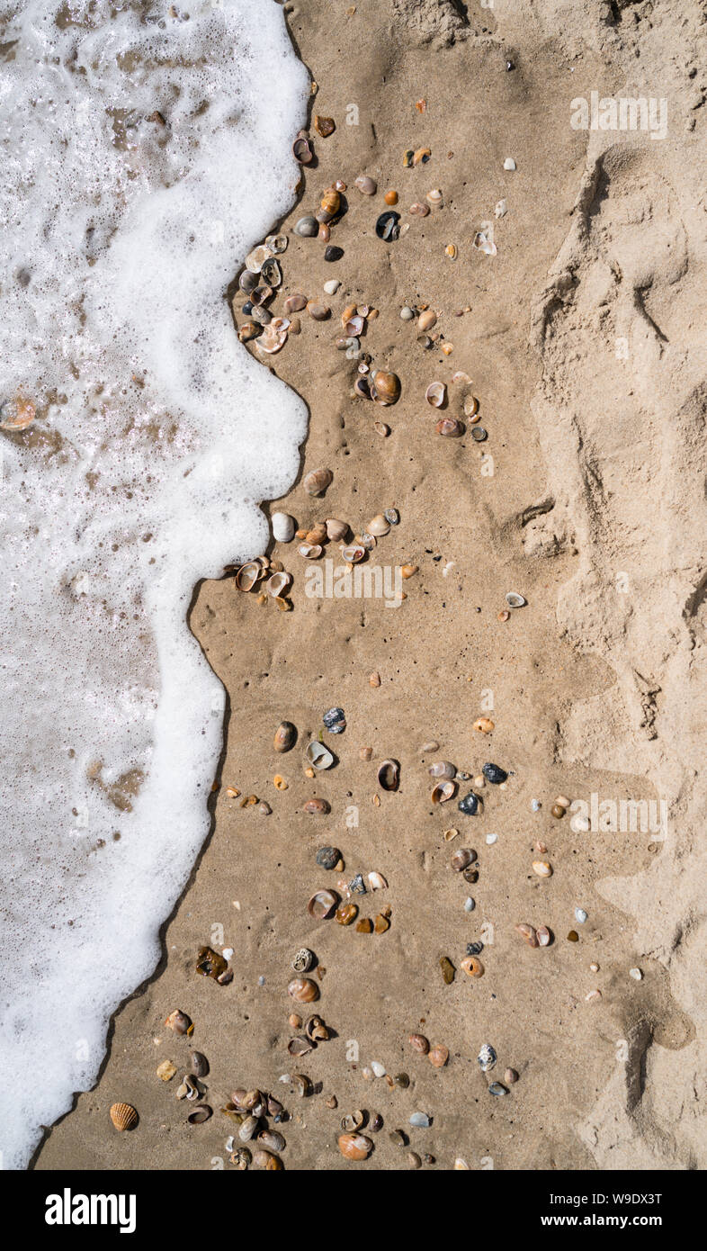 Surf over shells on the sandy beach at Sandbanks Stock Photo - Alamy