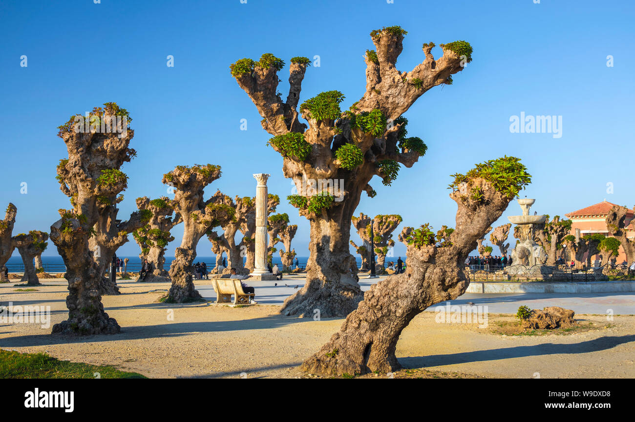 Cherchell Algeria High Resolution Stock Photography and Images - Alamy