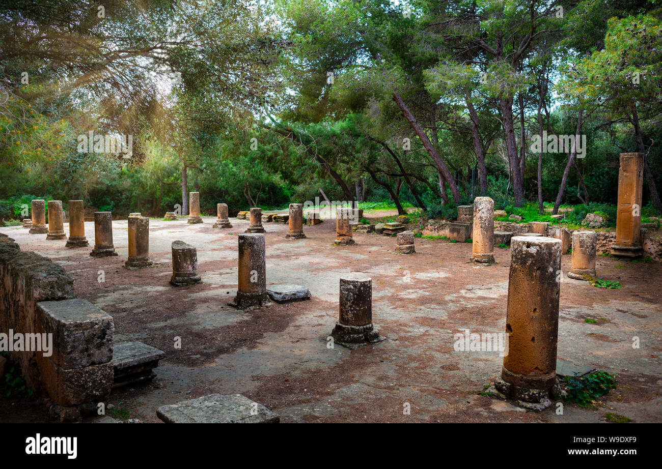 Algeria, Tipazza City, Roman ruins of Tipazza City, the forum Stock ...