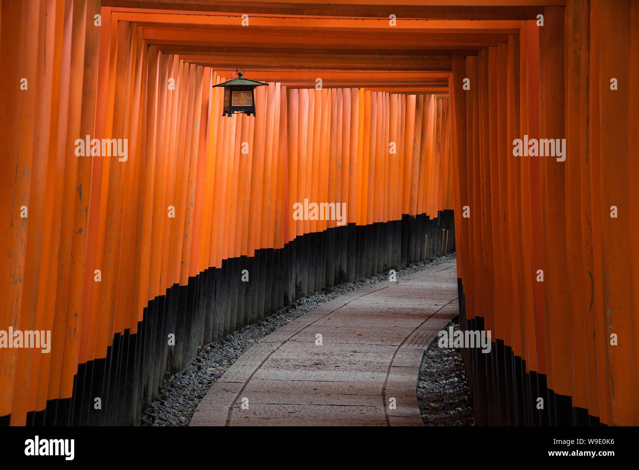 The red torii gates walkway path at fushimi inari taisha shrine the one ...