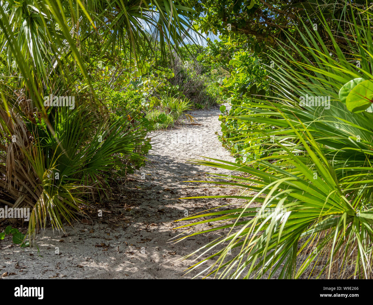 Trail in Stump Pass State Park on the Gulf of Mexico in Englewood in ...