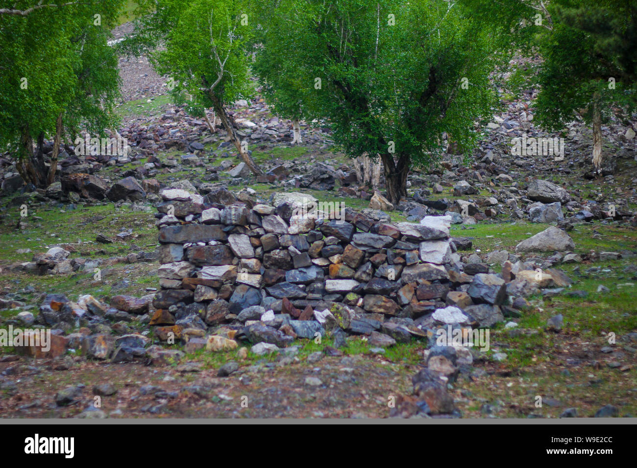 Stones Wall In Green Valley Mountains Color Full Greenery with ...