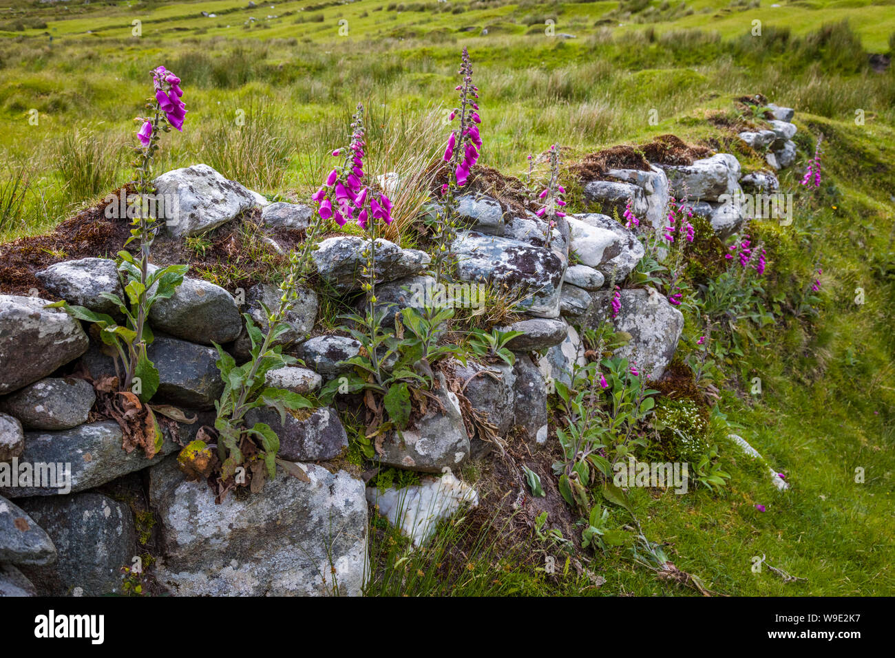 Divider wall hi-res stock photography and images - Alamy