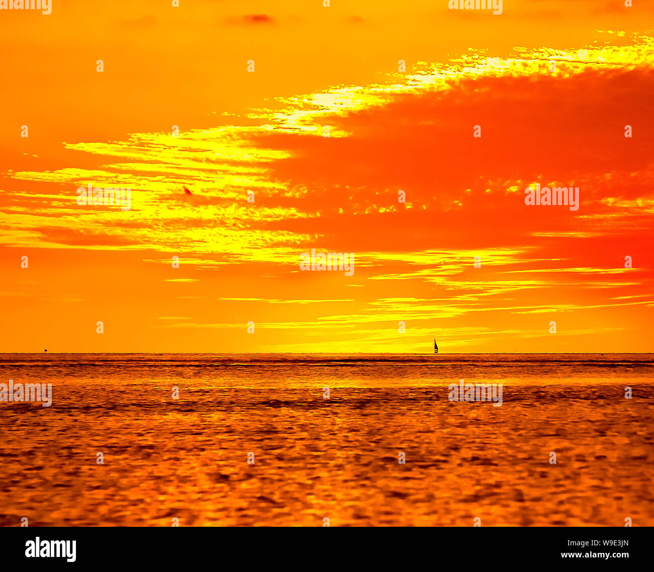Sailing in the Florida Keys at sunset Stock Photo - Alamy
