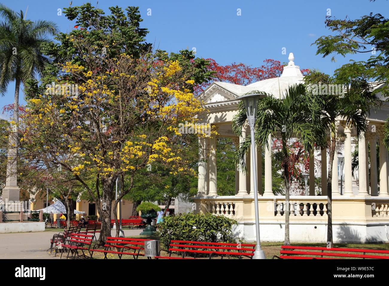 Cuba palm trees hi-res stock photography and images - Alamy