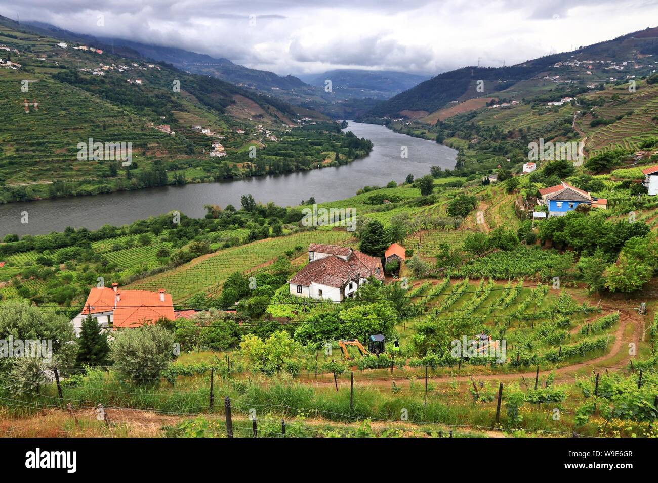 Portugal wine region - vineyards on hills along Douro river valley ...