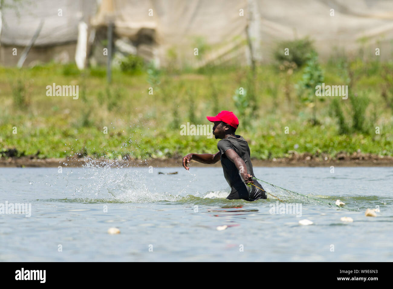 A lone Kenyan fisherman walking in the water with net fishing in lake ...