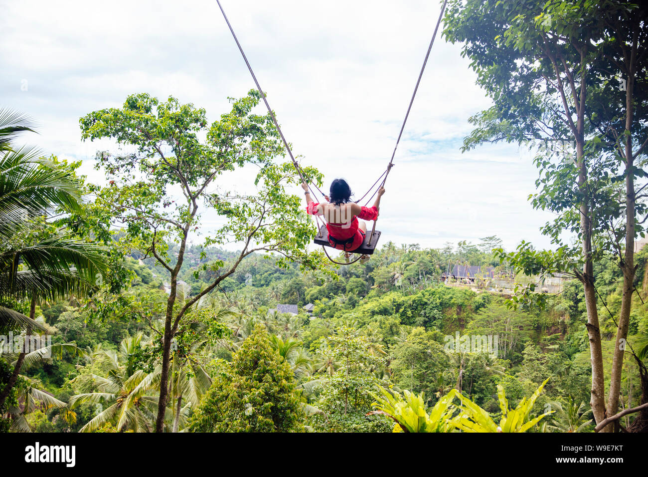 Young tourist woman swinging over the tropical rainforest at Bali ...