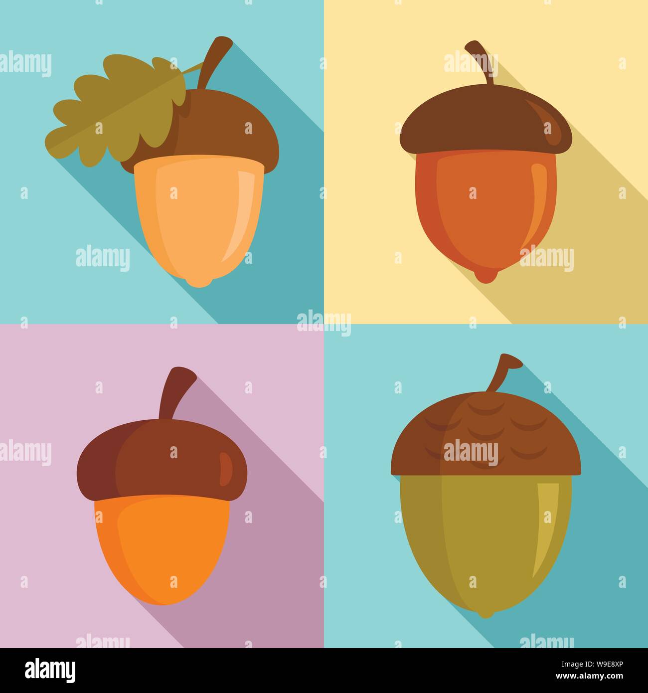 Oak shell Stock Vector Images - Alamy