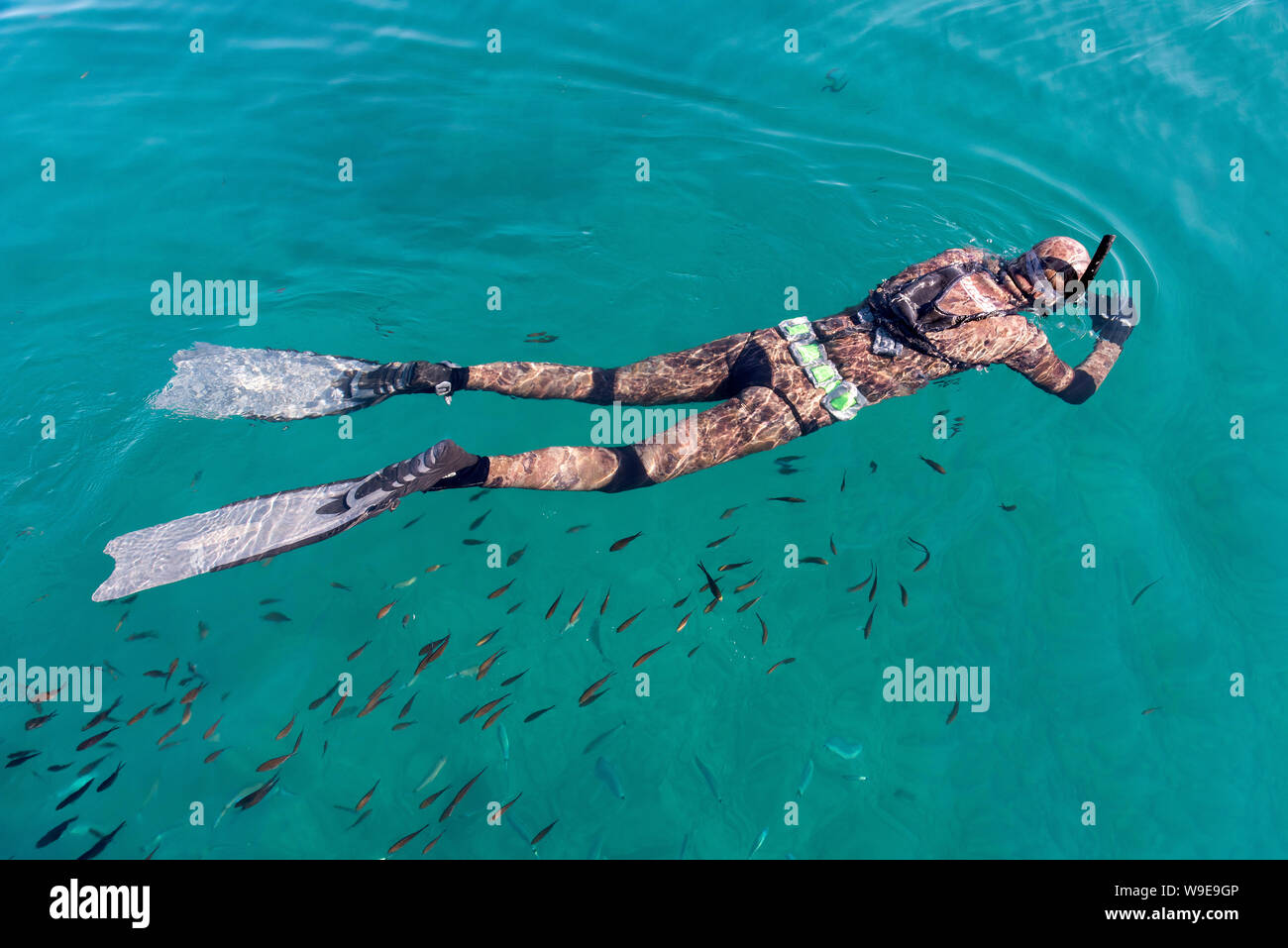 Crete, Greece. Scuba diver snorkelling and exploring the Sea of Crete ...