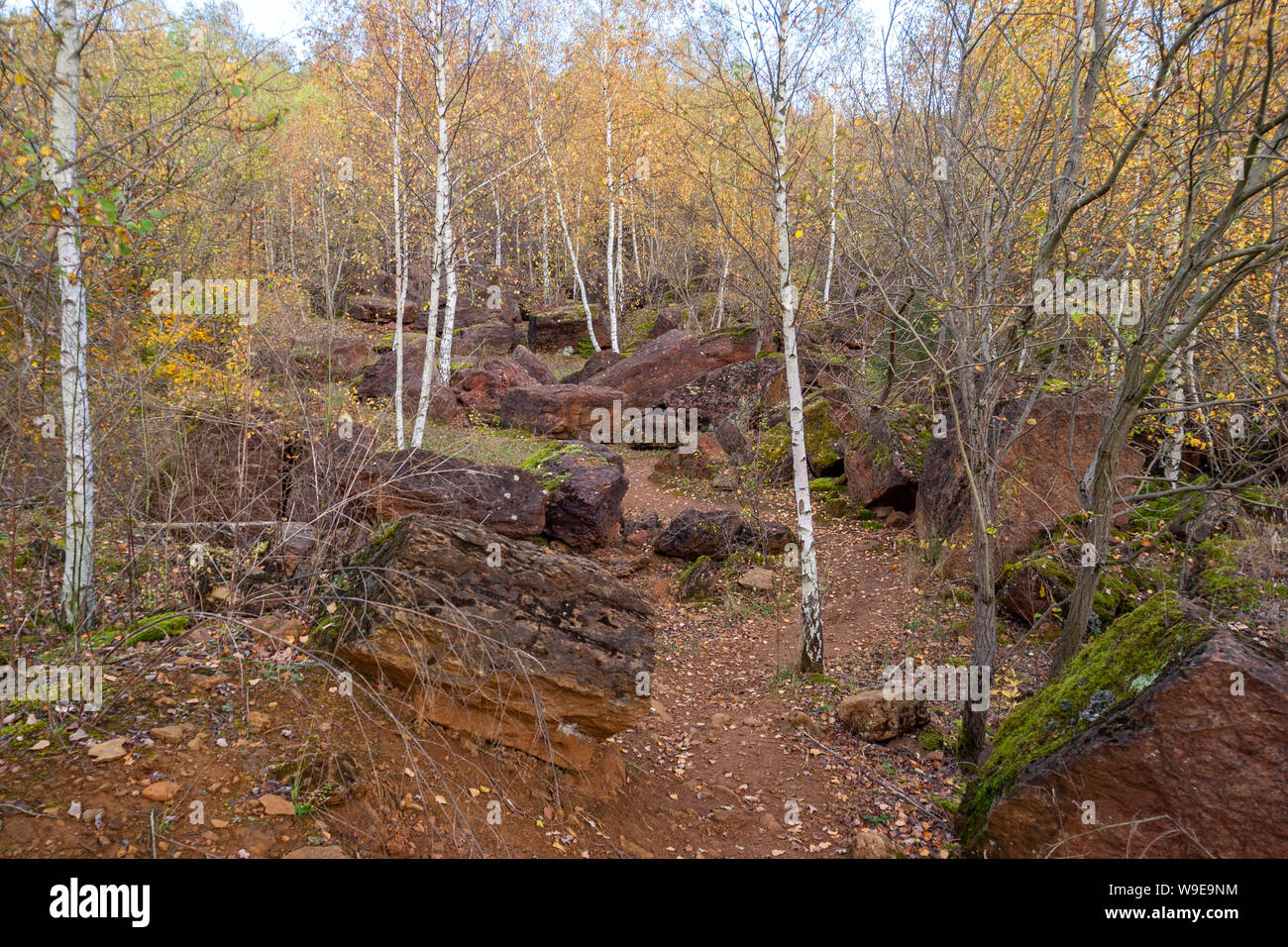 Walk over an old mining area in automn Stock Photo - Alamy