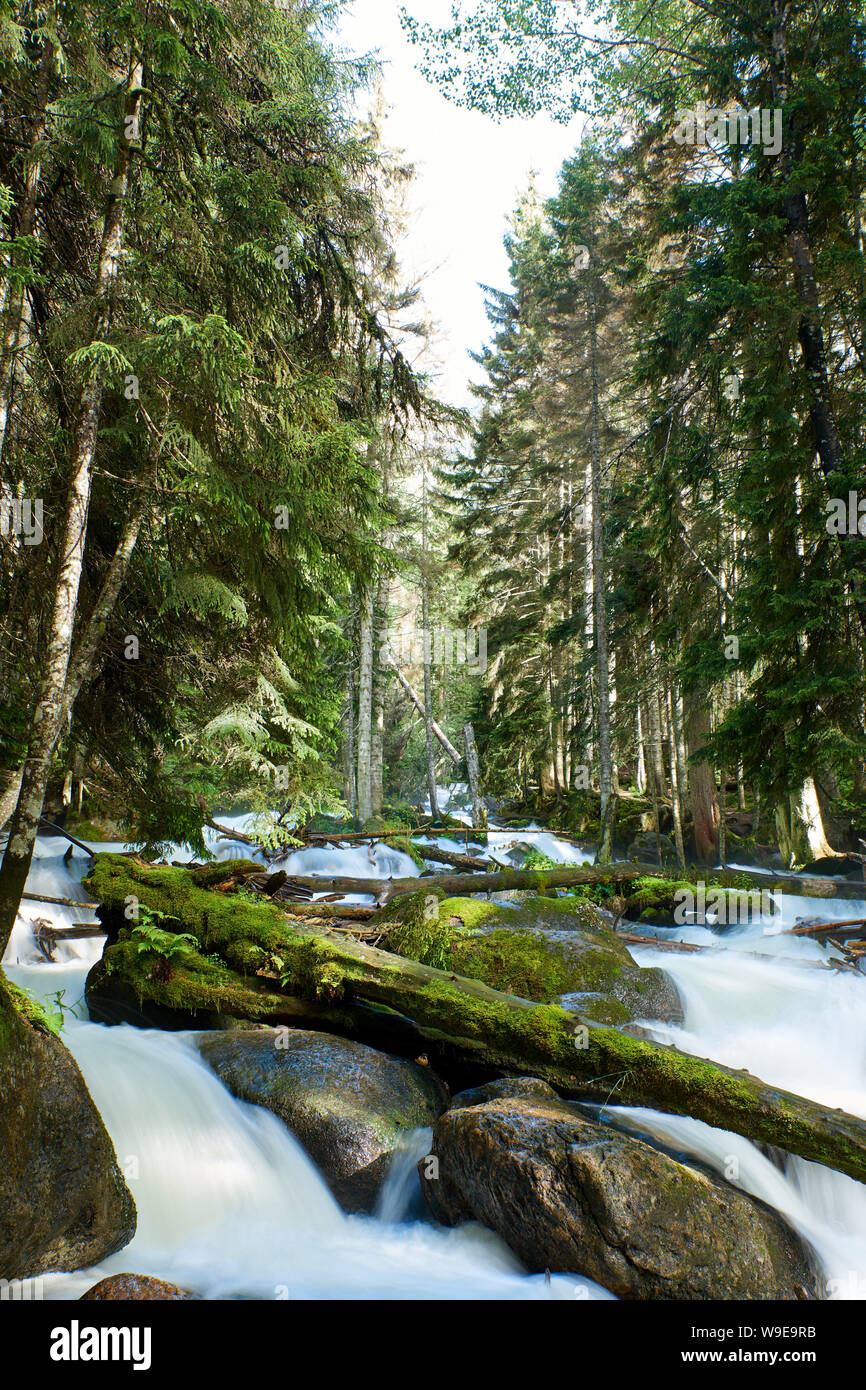Swift river valley hi-res stock photography and images - Alamy