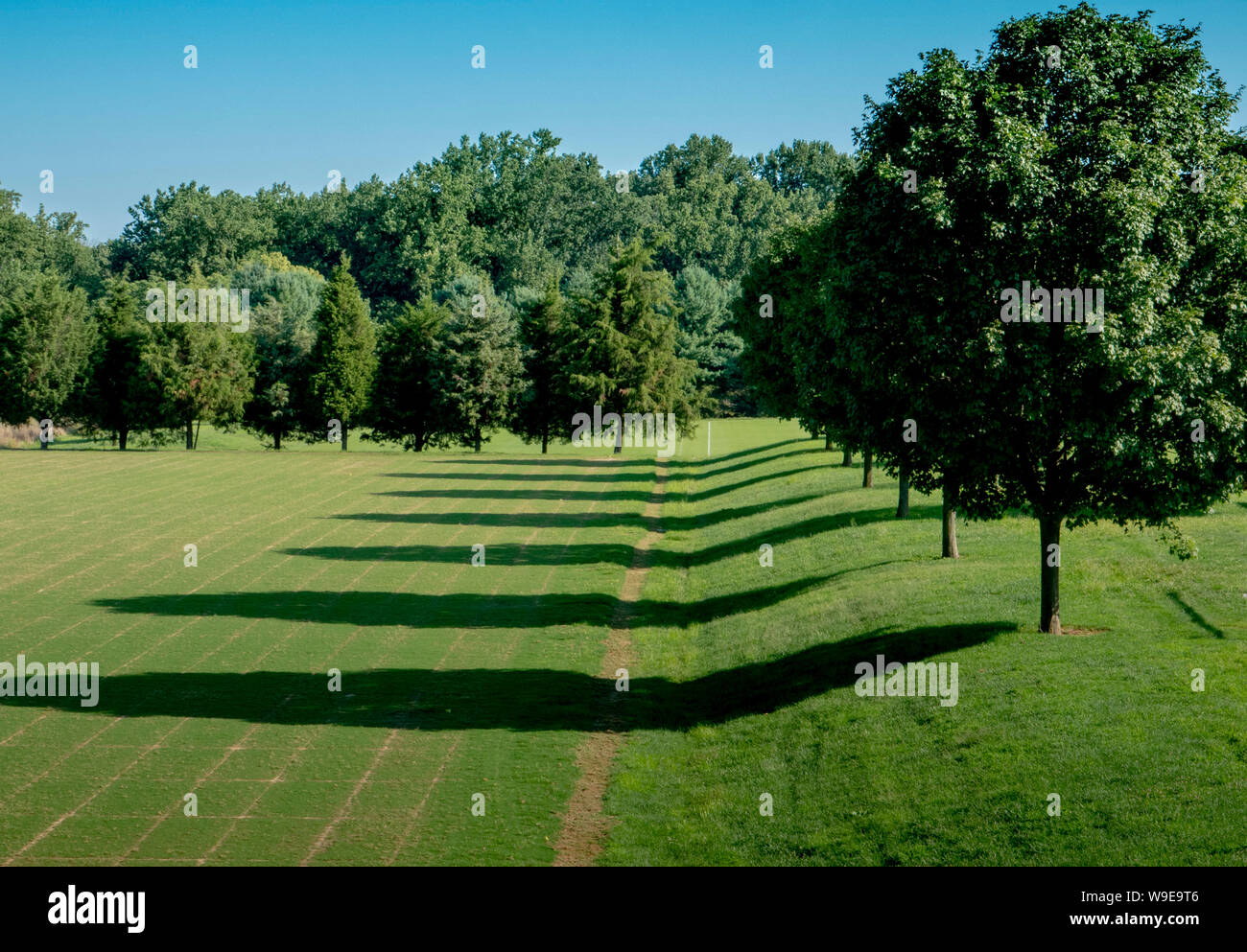 Shadows grass hi-res stock photography and images - Alamy