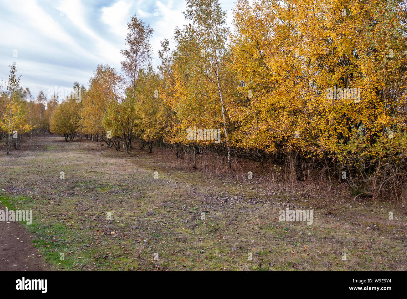 Walk over an old mining area in automn Stock Photo - Alamy