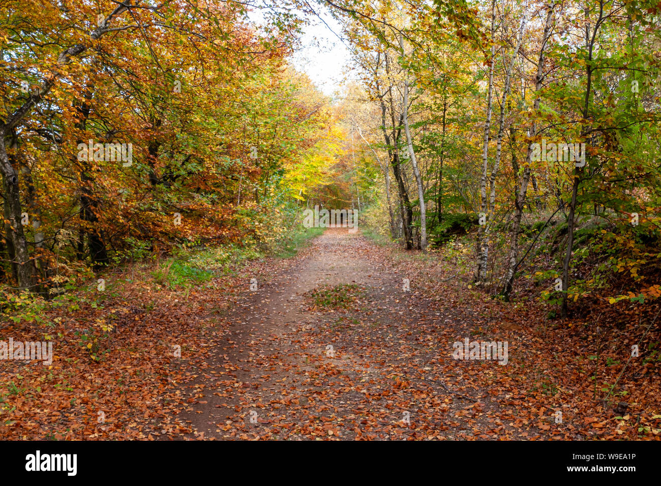 Walk over an old mining area in automn Stock Photo - Alamy