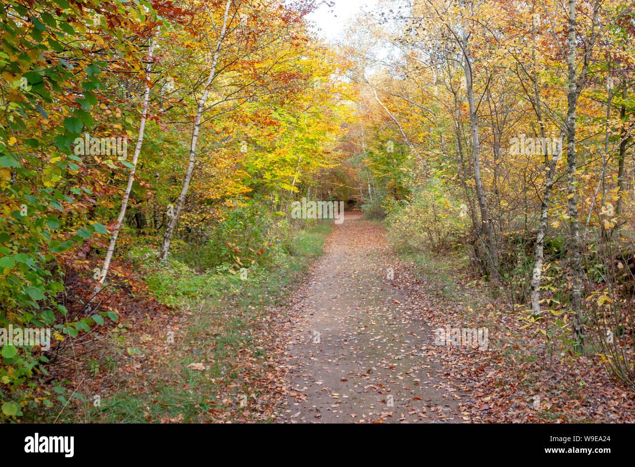 Walk over an old mining area in automn Stock Photo - Alamy
