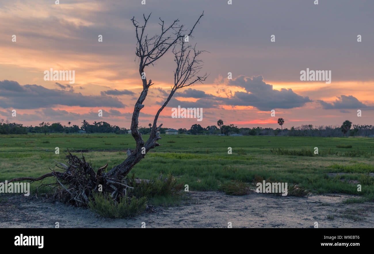 Everglades flamingo visitor center hi-res stock photography and images ...