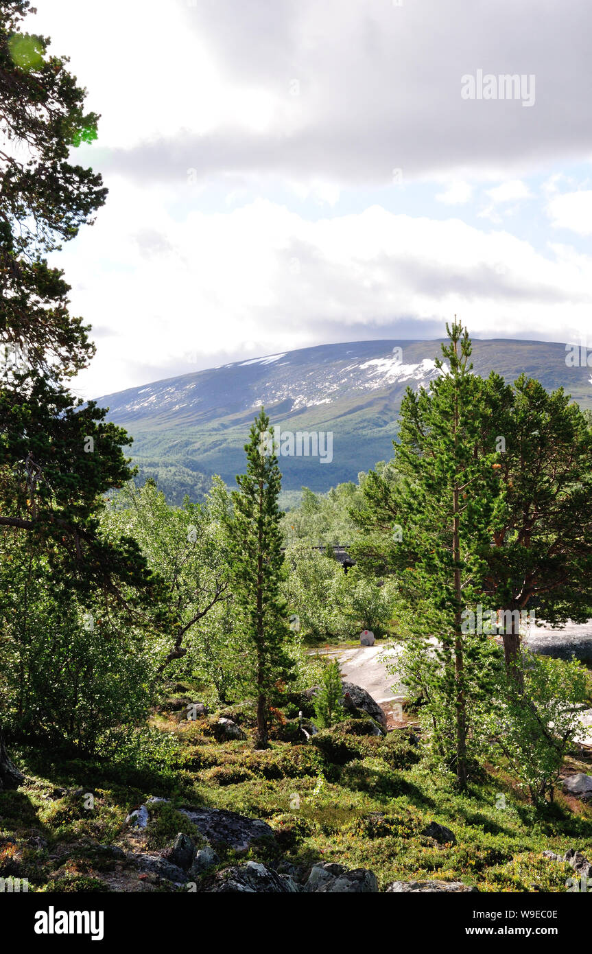 Svartisen saltfjellet national park svartisen saltfjellet nationalpark ...
