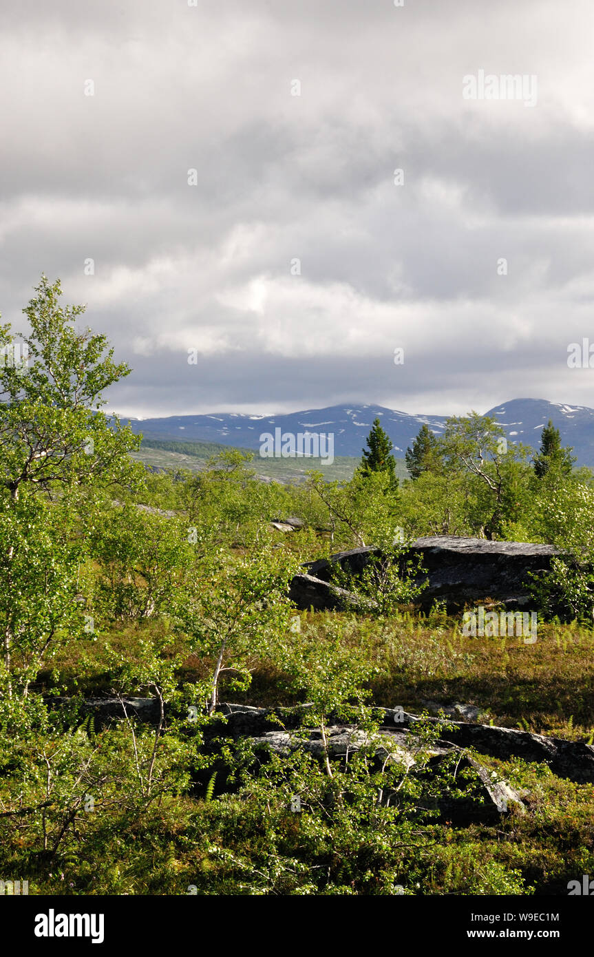 Svartisen saltfjellet national park svartisen saltfjellet nationalpark ...