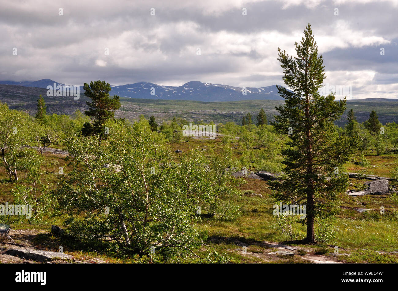 Svartisen saltfjellet national park svartisen saltfjellet nationalpark ...