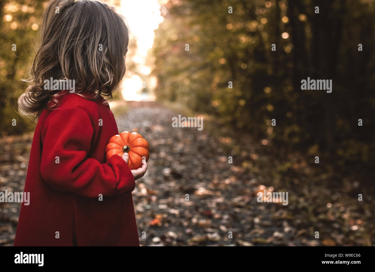 Little girl outside in a fall forest holds a tiny pumpkin in her hand ...