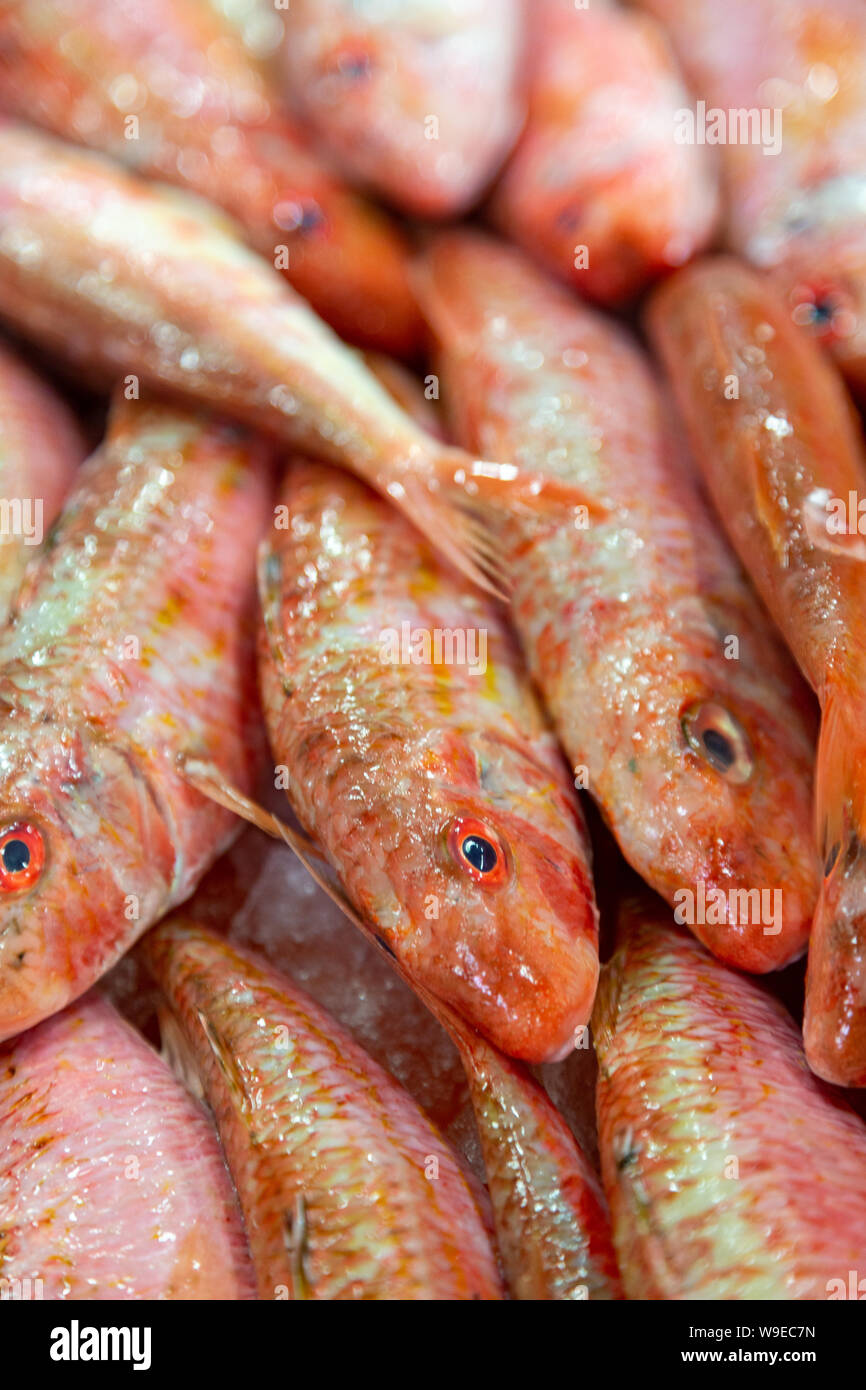Fresh fish on the local market of Olhao, Algarve, Portugal Stock Photo ...
