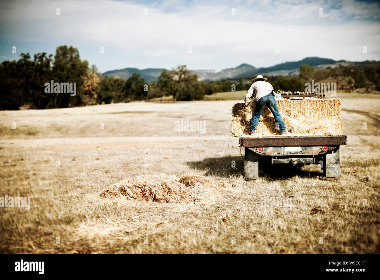 Person stands on truck hi-res stock photography and images - Alamy