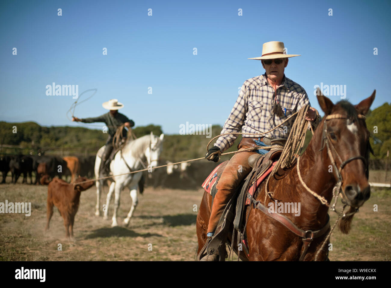 Roping rope photography hi-res stock photography and images - Alamy