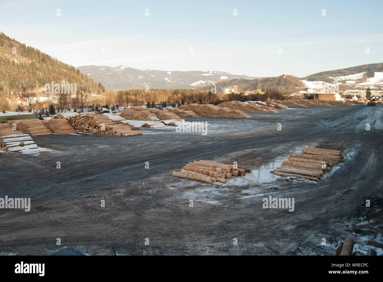 Timber yard of a large sawmill, where the wood is sorted in piles and ...