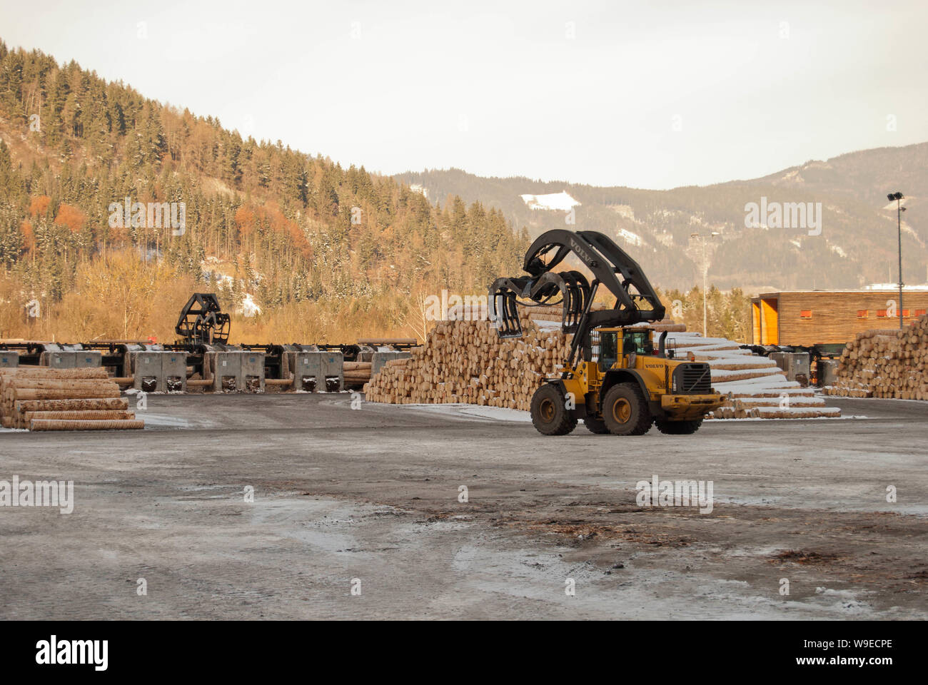 Wheel loader working at timber yard of a large sawmill, where the wood ...