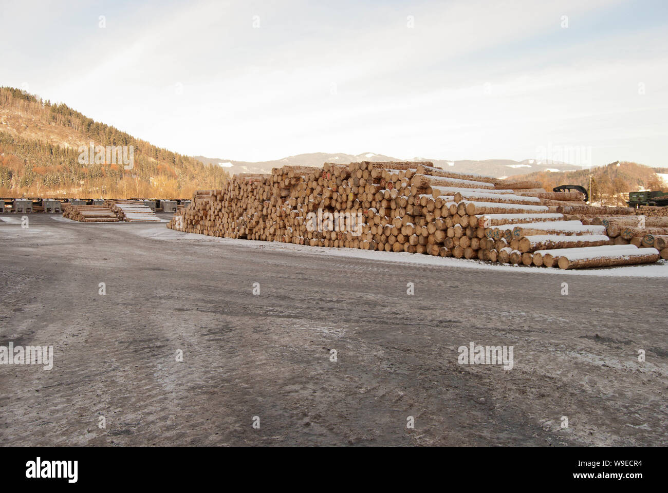 Timber yard of a large sawmill, where the wood is sorted in piles and ...