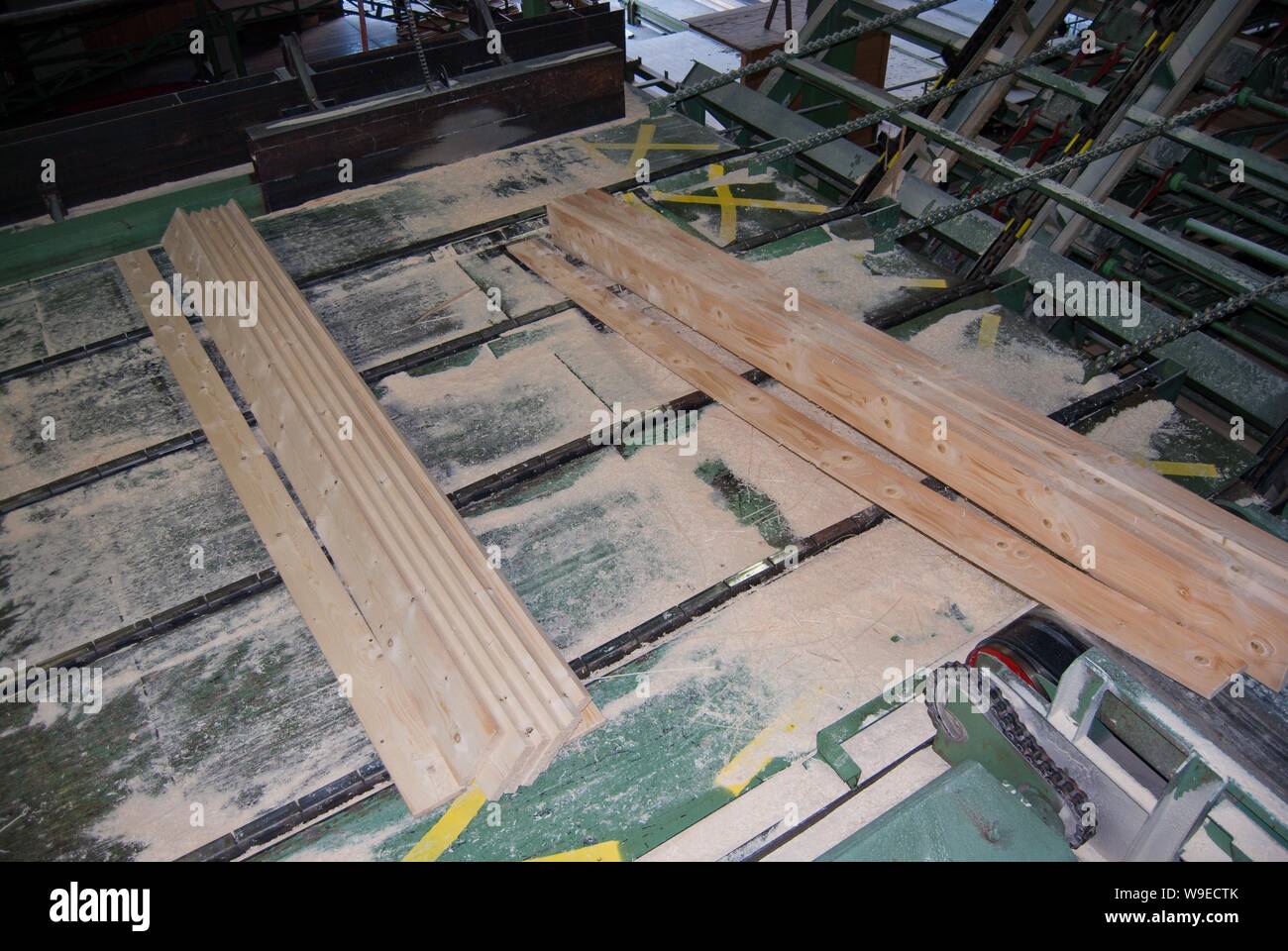 Inside a large sawmill, where the wood is automatically cut to boards ...