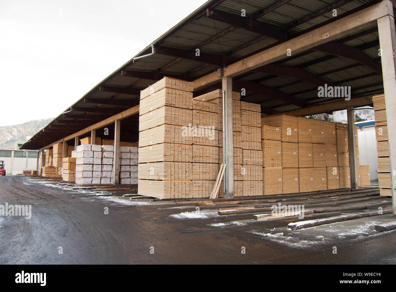 Wood yard of a large sawmill, where the cut and sorted wood is dried ...